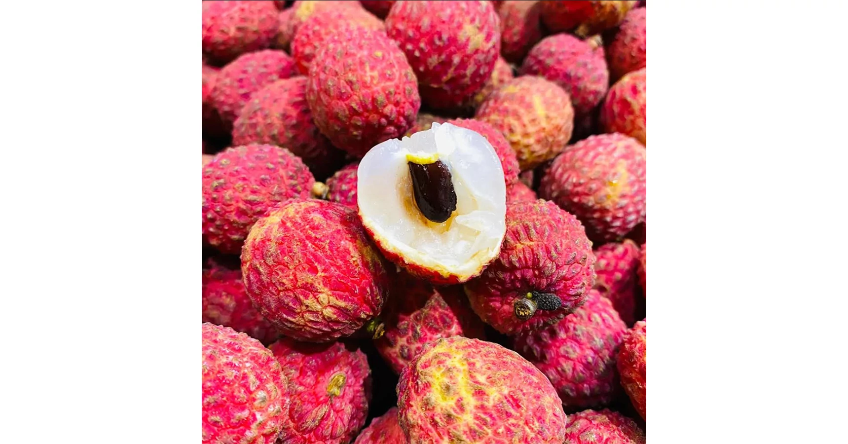 Licsi (Litchi chinensis ’Kwai May Pink’)